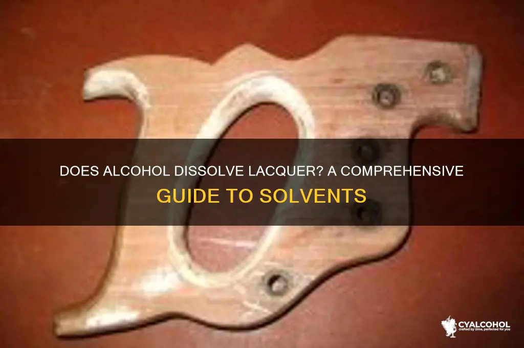 Does Alcohol Dissolve Lacquer? A Comprehensive Guide To Solvents ...