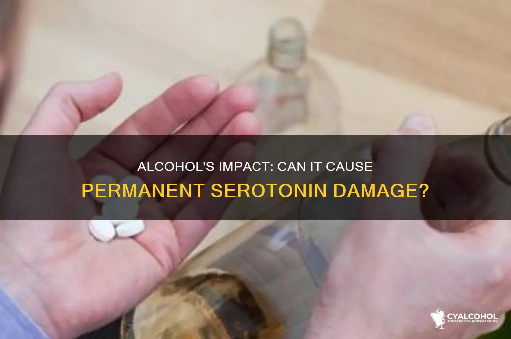 Alcohol's Impact: Can It Cause Permanent Serotonin Damage? | CyAlcohol