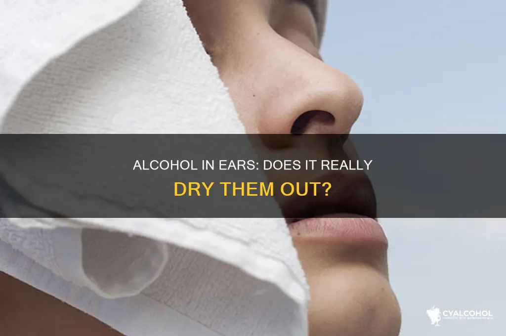 Alcohol In Ears: Does It Really Dry Them Out? | CyAlcohol