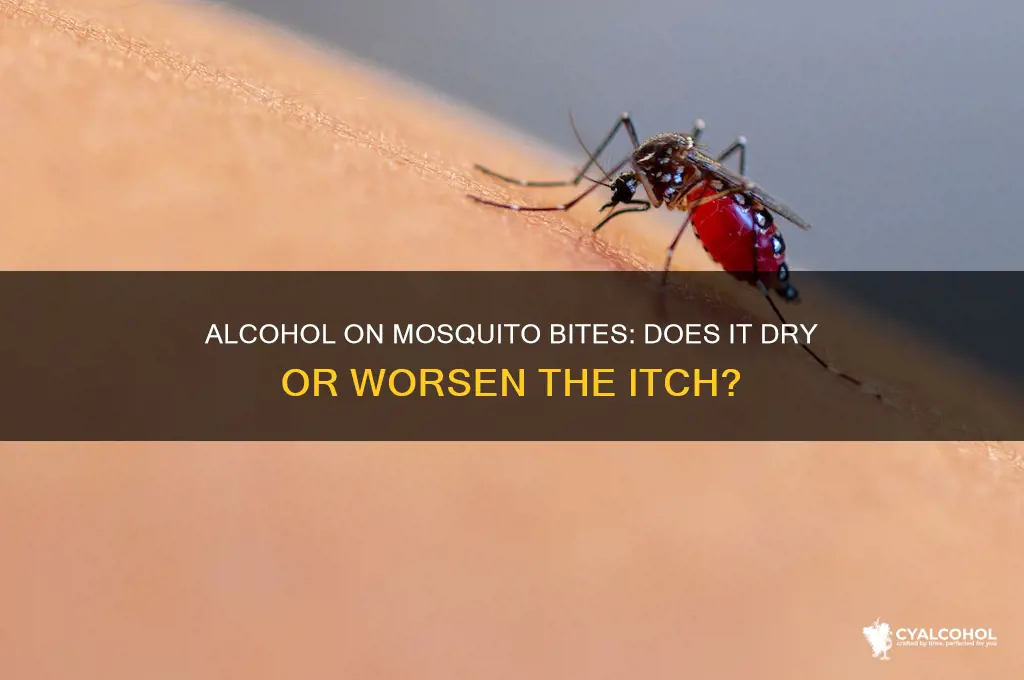 Alcohol On Mosquito Bites: Does It Dry Or Worsen The Itch? | CyAlcohol
