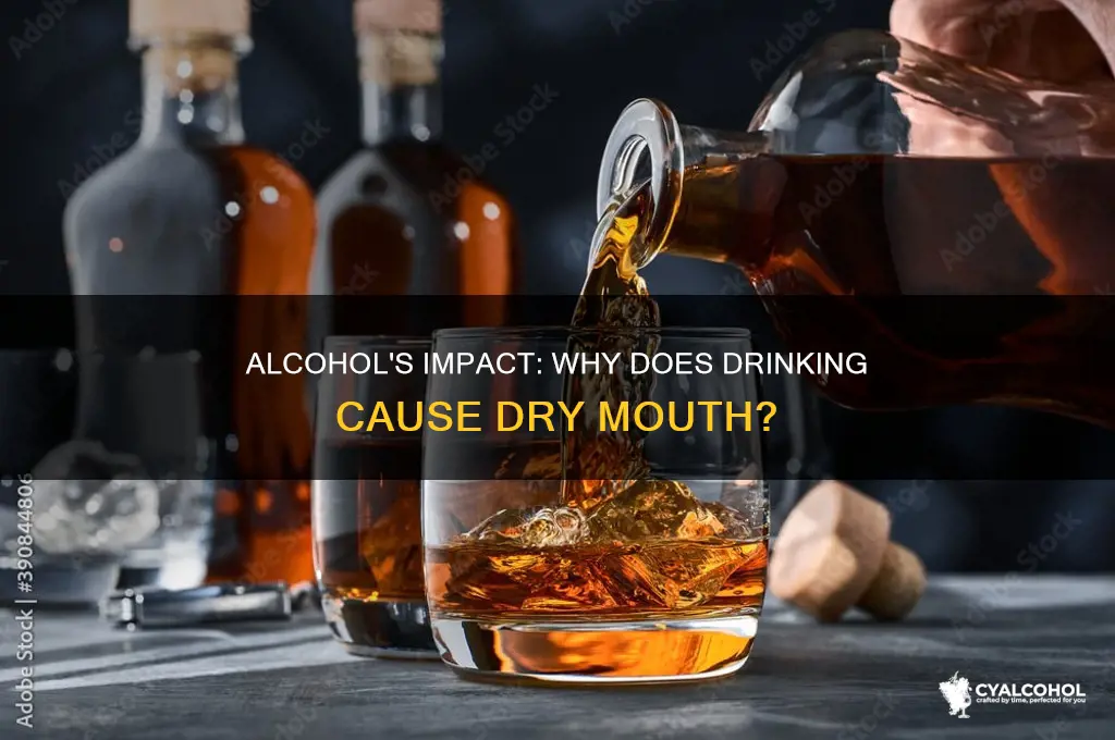 Alcohol's Impact: Why Does Drinking Cause Dry Mouth? | CyAlcohol
