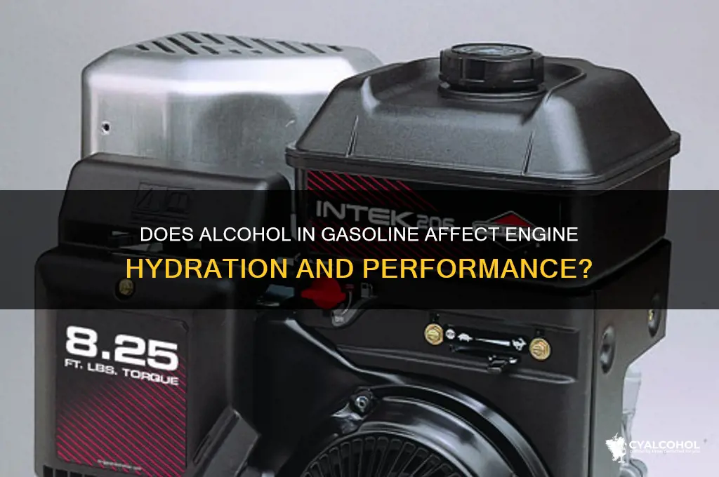 Does Alcohol In Gasoline Affect Engine Hydration And Performance ...
