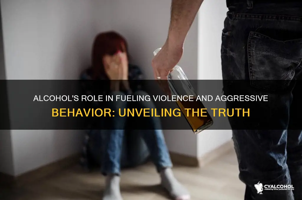 Alcohol's Role In Fueling Violence And Aggressive Behavior: Unveiling ...
