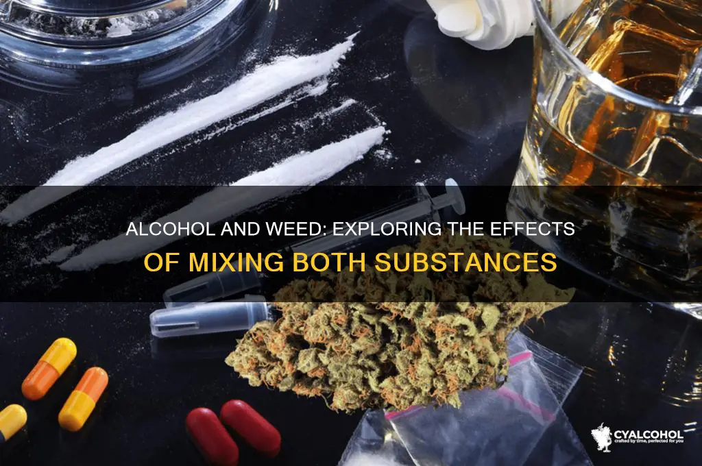 Alcohol And Weed: Exploring The Effects Of Mixing Both Substances ...