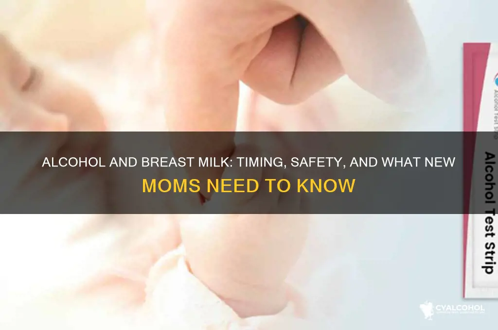 Alcohol And Breast Milk: Timing, Safety, And What New Moms Need To Know ...