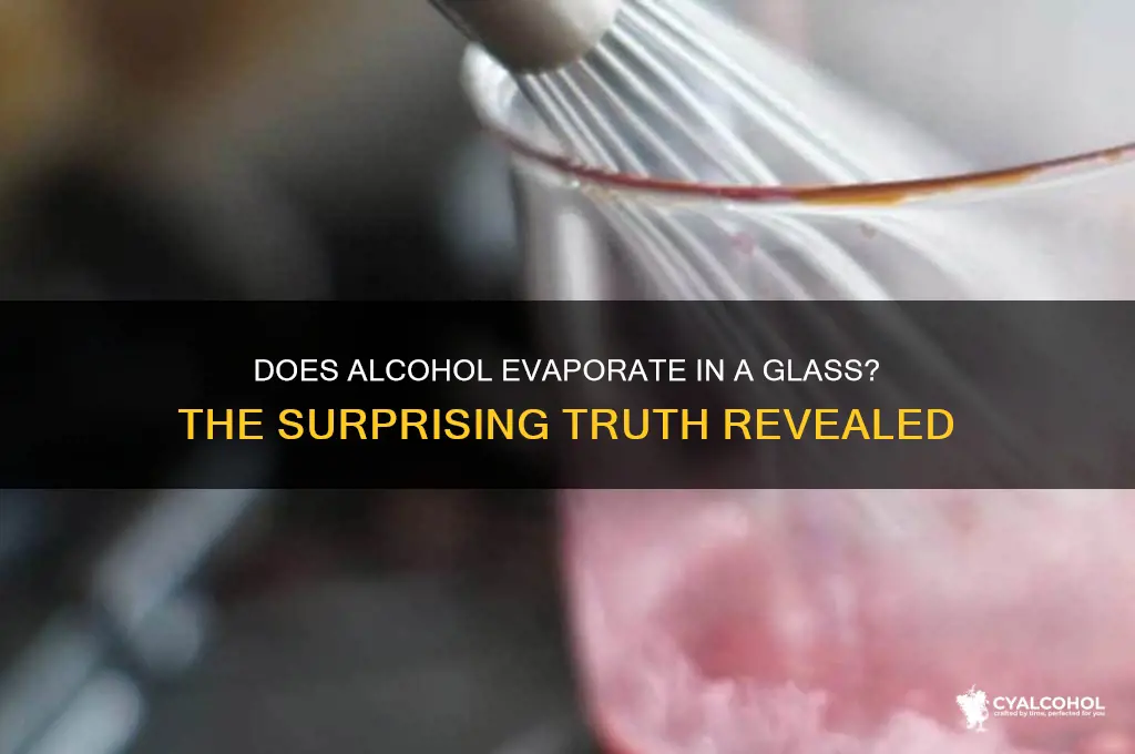 Does Alcohol Evaporate In A Glass? The Surprising Truth Revealed ...
