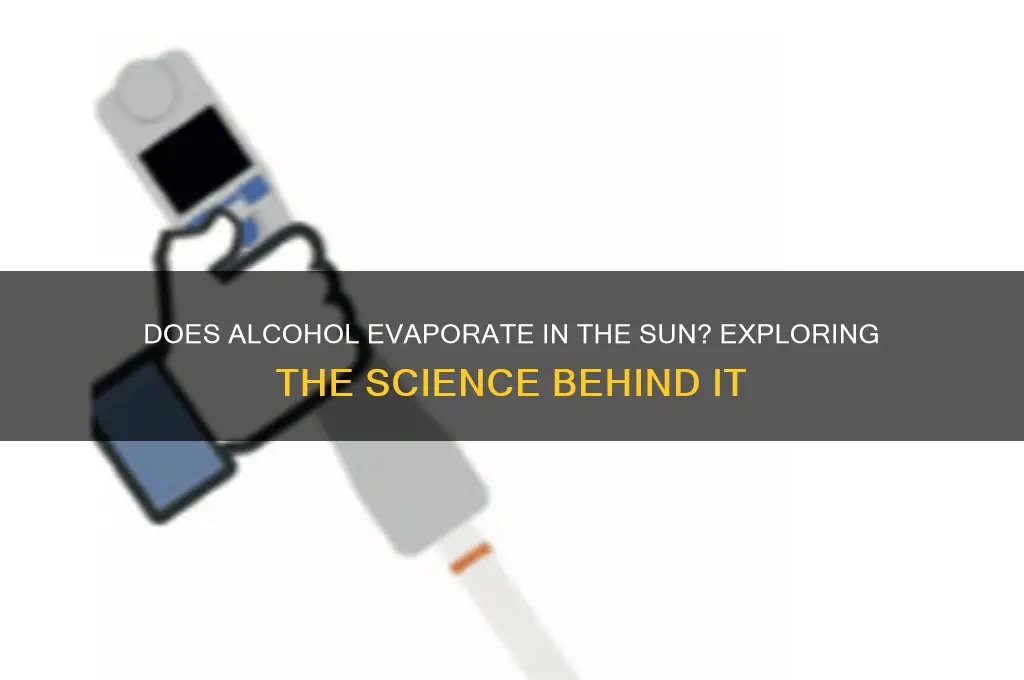 Does Alcohol Evaporate In The Sun? Exploring The Science Behind It ...