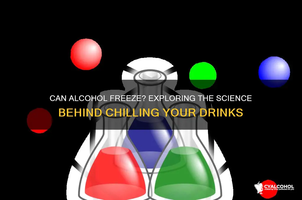 Can Alcohol Freeze? Exploring The Science Behind Chilling Your Drinks ...