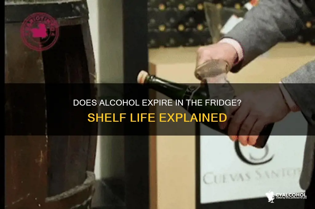 Does Alcohol Expire In The Fridge? Shelf Life Explained | CyAlcohol