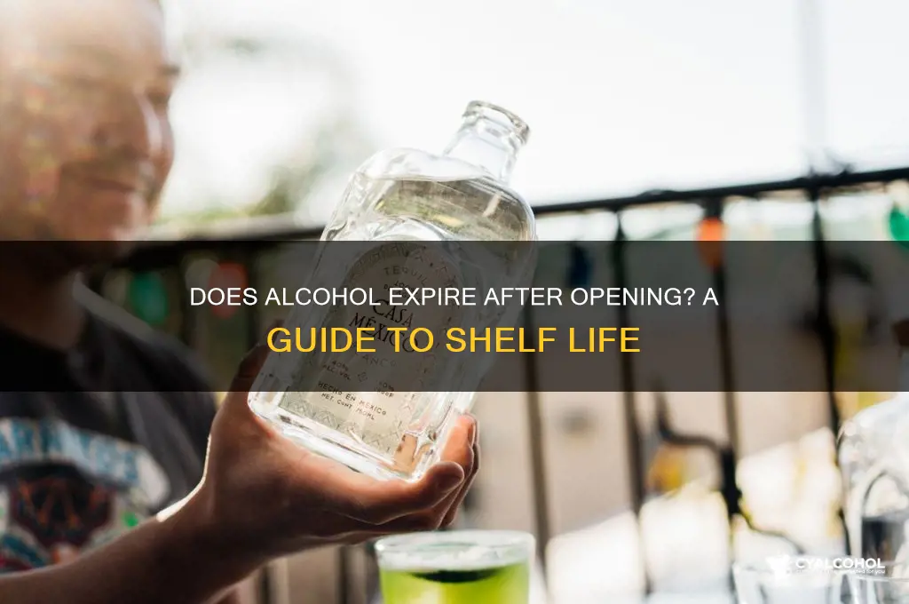 Does Alcohol Expire After Opening? A Guide To Shelf Life | CyAlcohol