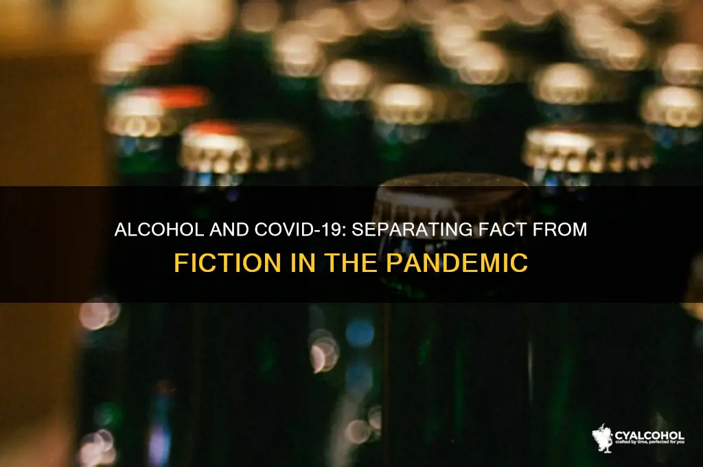 Alcohol And Covid-19: Separating Fact From Fiction In The Pandemic ...