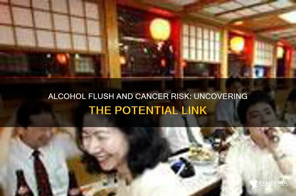 Alcohol Flush And Cancer Risk: Uncovering The Potential Link | CyAlcohol