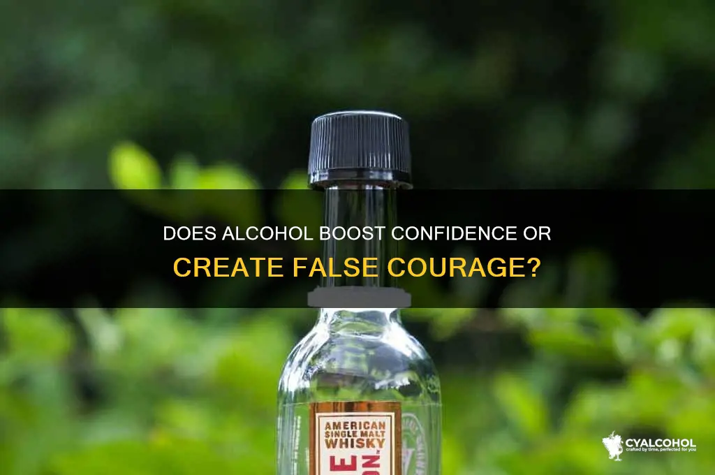 Does Alcohol Boost Confidence Or Create False Courage? | CyAlcohol