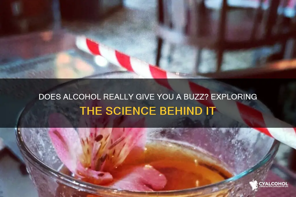 Does Alcohol Really Give You A Buzz? Exploring The Science Behind It ...