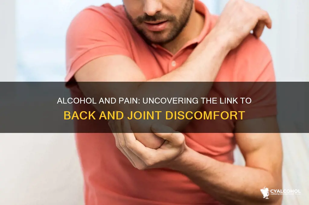Alcohol And Pain: Uncovering The Link To Back And Joint Discomfort ...