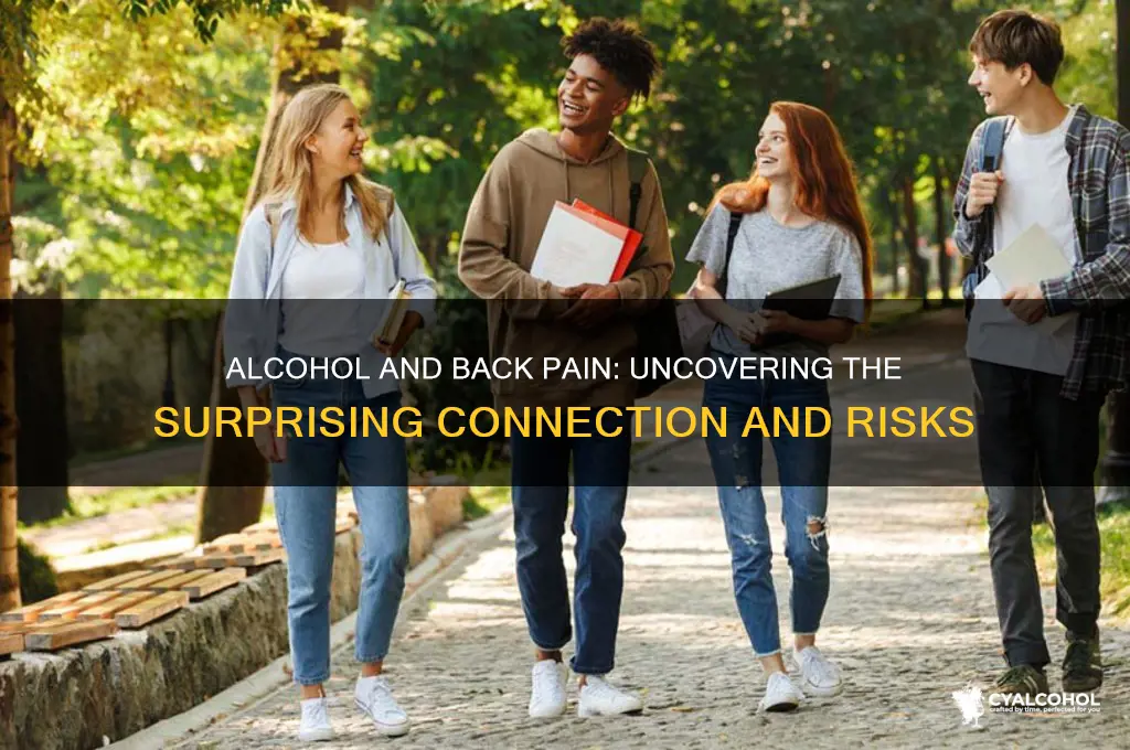 Alcohol And Back Pain: Uncovering The Surprising Connection And Risks ...