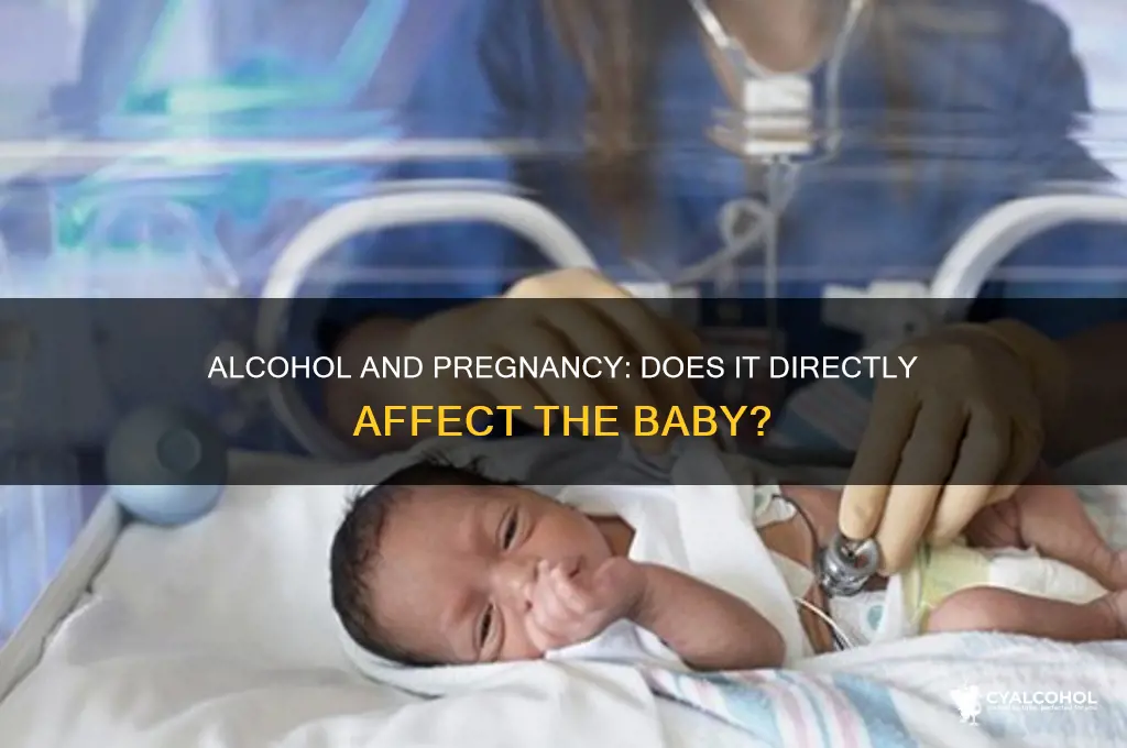 Alcohol And Pregnancy: Does It Directly Affect The Baby? | CyAlcohol