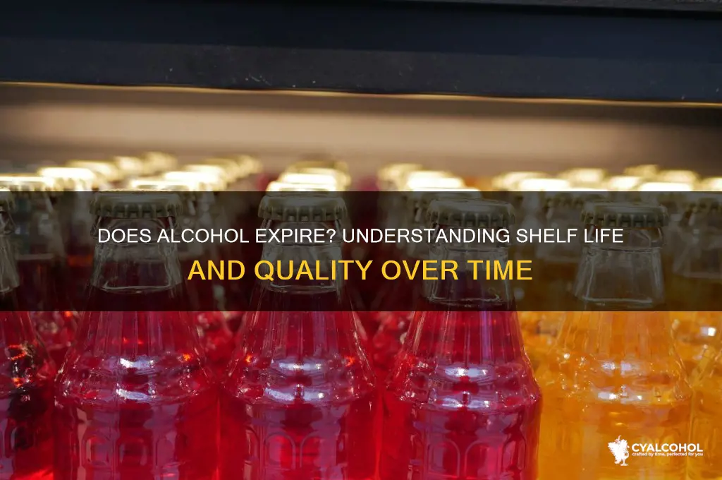 Does Alcohol Expire? Understanding Shelf Life And Quality Over Time ...