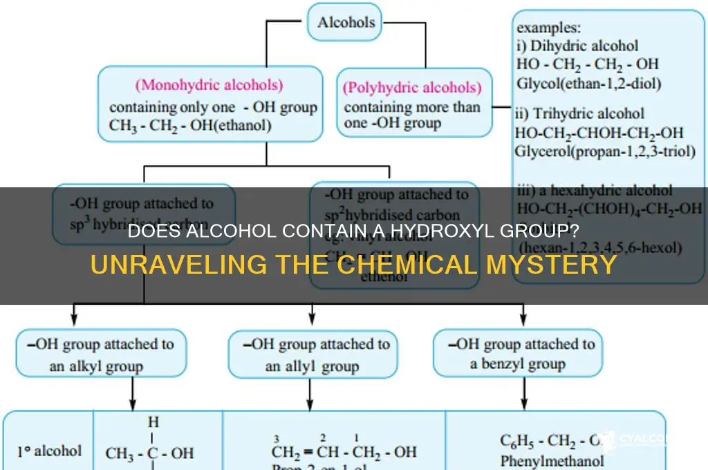 Does Alcohol Contain A Hydroxyl Group? Unraveling The Chemical Mystery ...