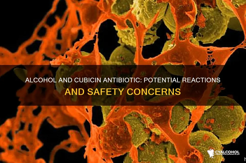 Alcohol And Cubicin Antibiotic: Potential Reactions And Safety Concerns ...