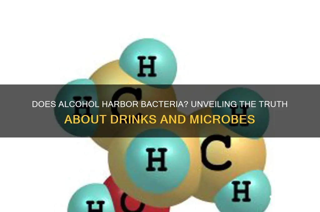 Does Alcohol Harbor Bacteria? Unveiling The Truth About Drinks And ...
