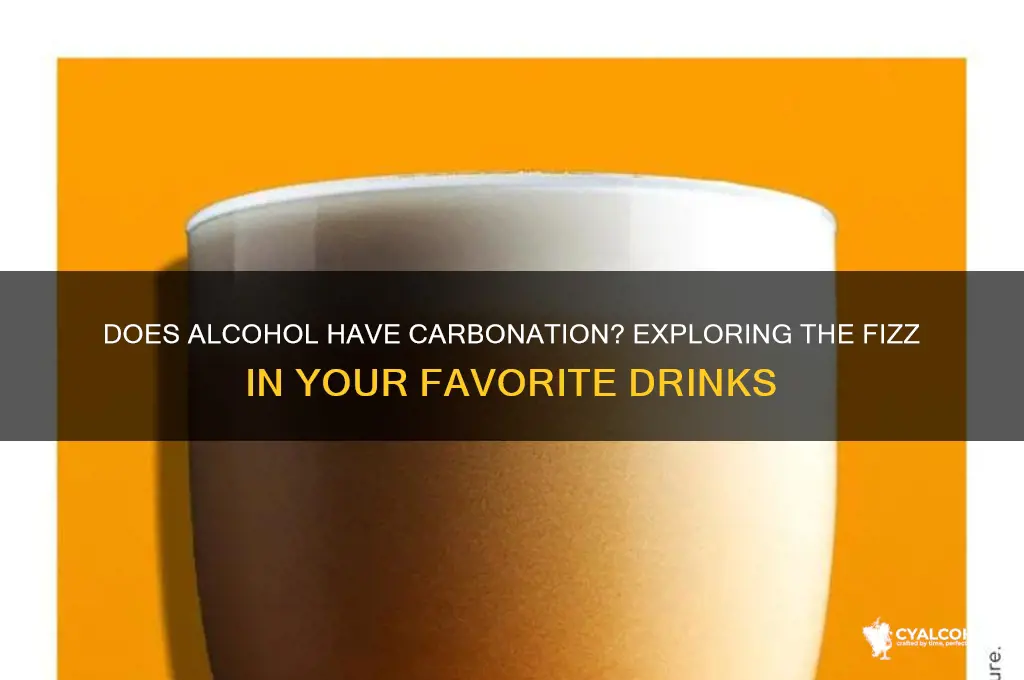 Does Alcohol Have Carbonation? Exploring The Fizz In Your Favorite ...