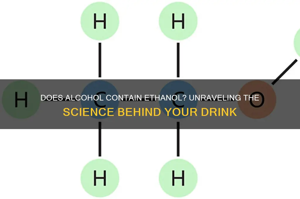 Does Alcohol Contain Ethanol? Unraveling The Science Behind Your Drink ...