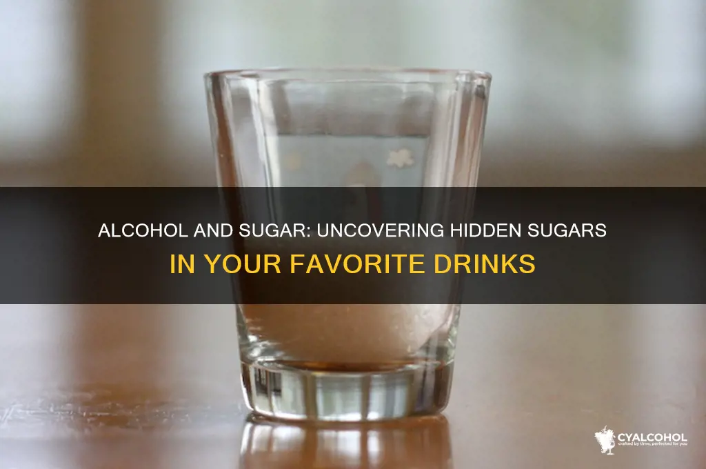 Alcohol And Sugar: Uncovering Hidden Sugars In Your Favorite Drinks ...