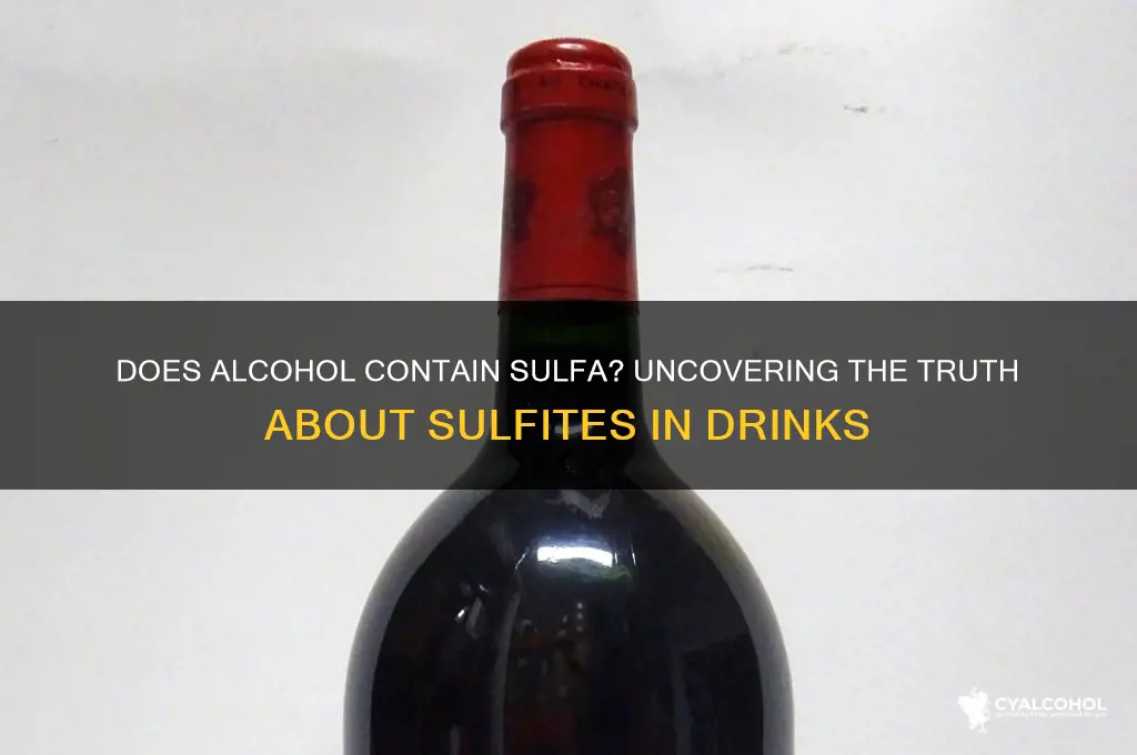 Does Alcohol Contain Sulfa? Uncovering The Truth About Sulfites In ...