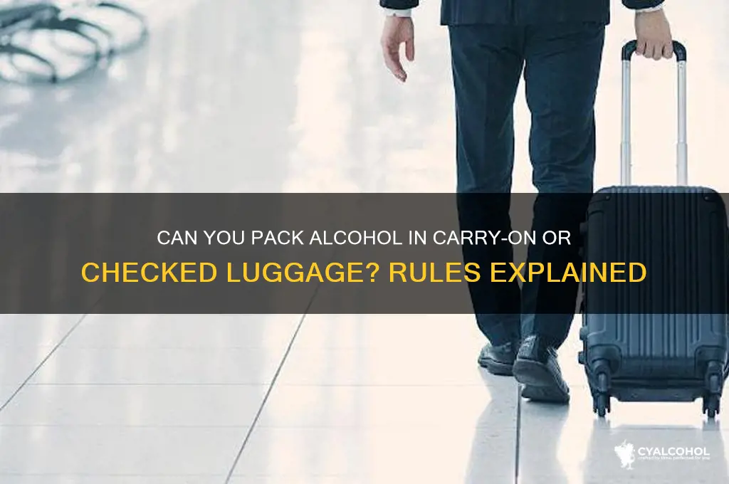 Can You Pack Alcohol In Carry-On Or Checked Luggage? Rules Explained ...
