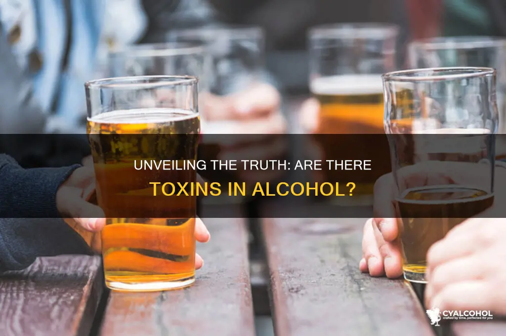 Unveiling The Truth: Are There Toxins In Alcohol? | CyAlcohol