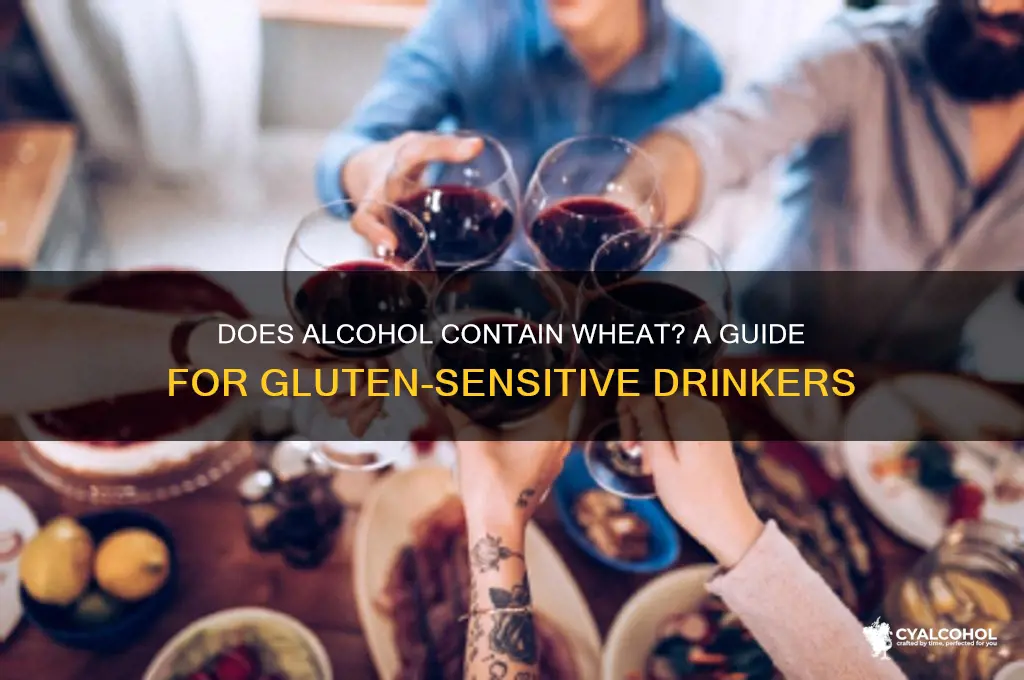 Does Alcohol Contain Wheat? A Guide For Gluten-Sensitive Drinkers ...