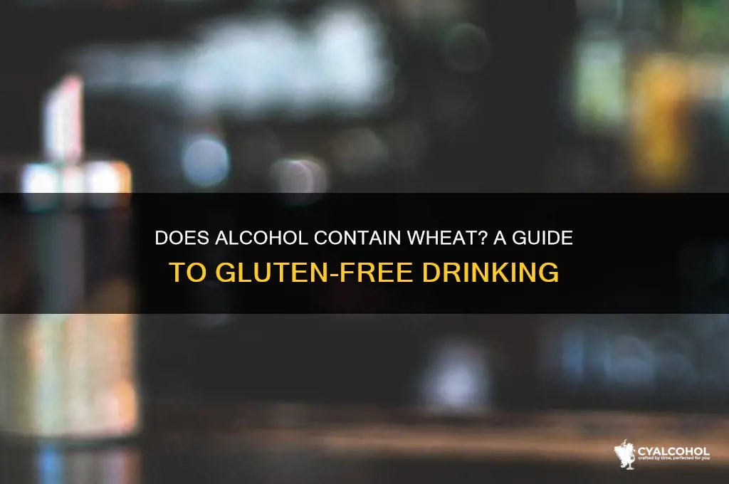 Does Alcohol Contain Wheat? A Guide To Gluten-Free Drinking | CyAlcohol