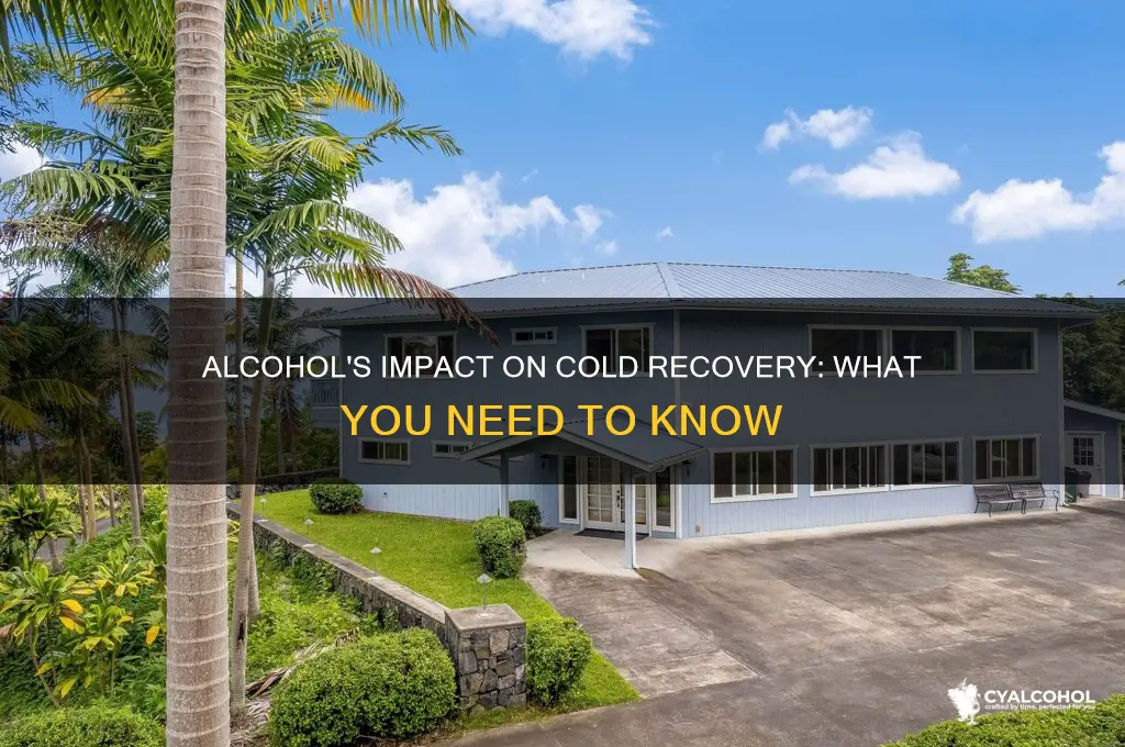 Alcohol's Impact On Cold Recovery: What You Need To Know | CyAlcohol