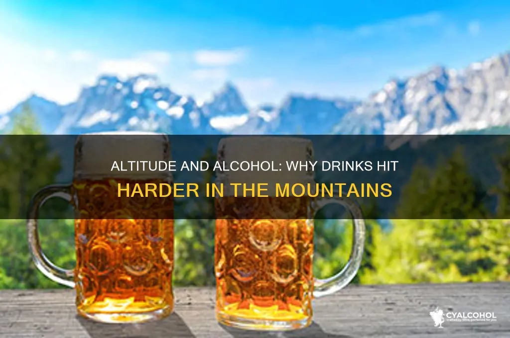 Altitude And Alcohol: Why Drinks Hit Harder In The Mountains | CyAlcohol