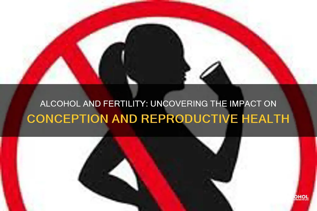 Alcohol And Fertility: Uncovering The Impact On Conception And ...