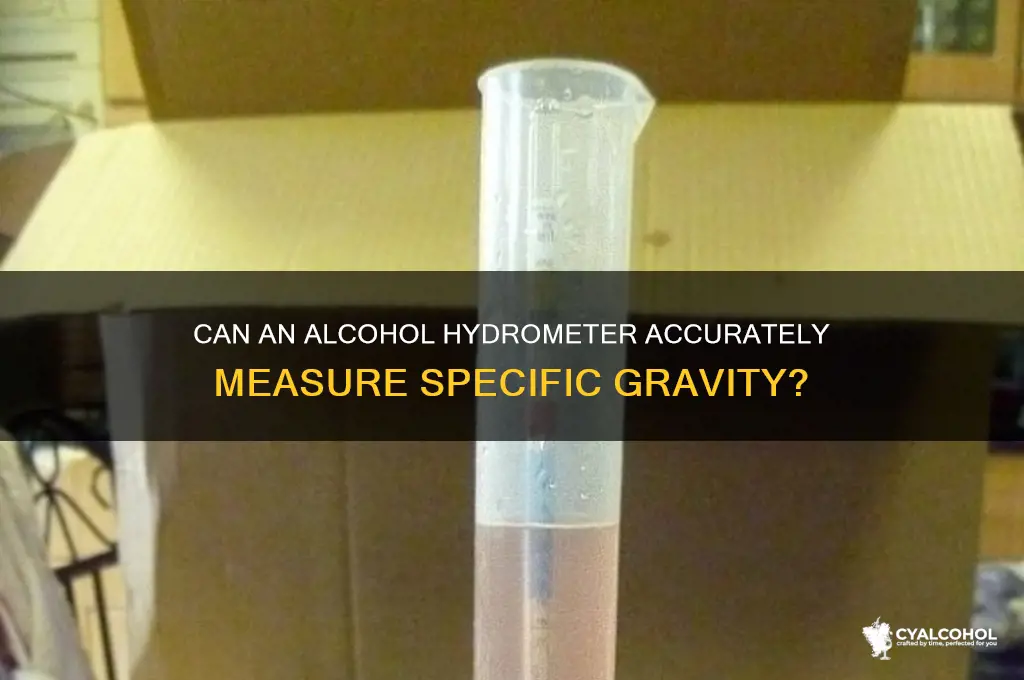Can An Alcohol Hydrometer Accurately Measure Specific Gravity? | CyAlcohol