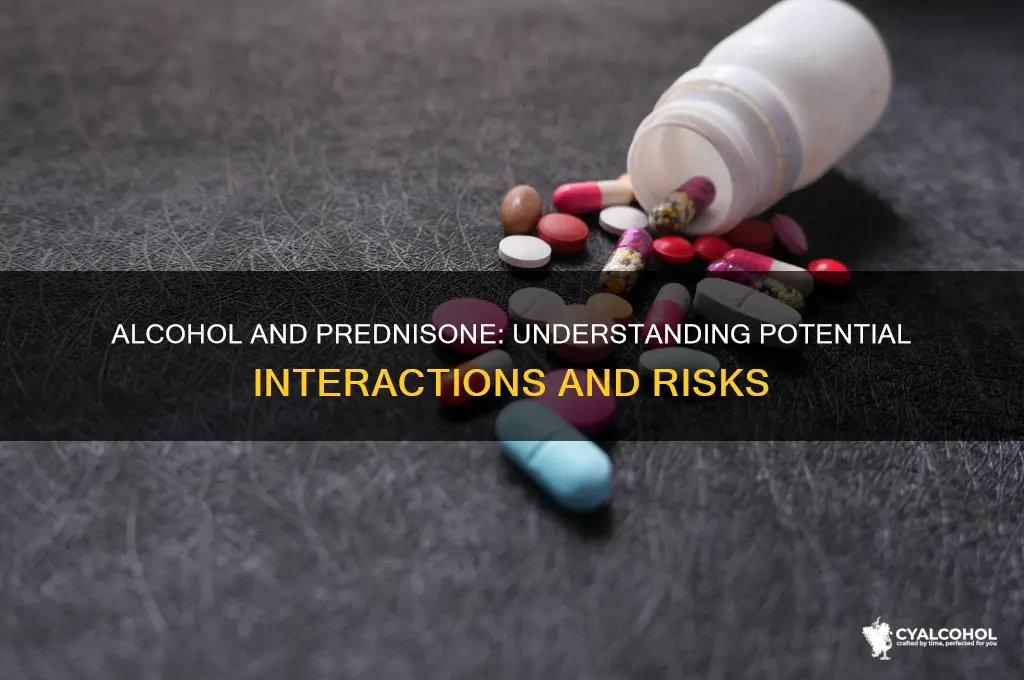 Alcohol And Prednisone: Understanding Potential Interactions And Risks ...