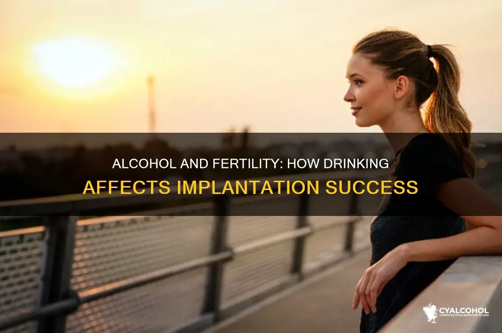 Alcohol And Fertility: How Drinking Affects Implantation Success ...