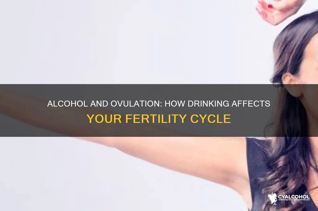 Alcohol And Ovulation: How Drinking Affects Your Fertility Cycle ...
