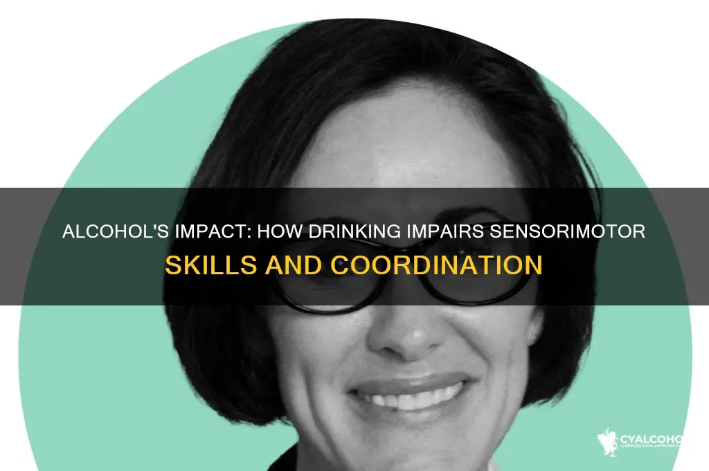 Alcohol's Impact: How Drinking Impairs Sensorimotor Skills And ...