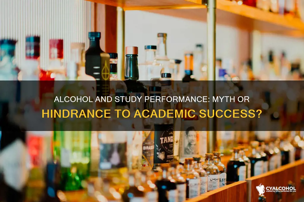 Alcohol And Study Performance: Myth Or Hindrance To Academic Success ...