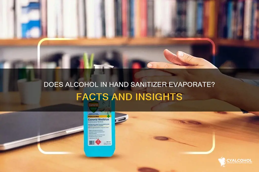 Does Alcohol In Hand Sanitizer Evaporate? Facts And Insights | CyAlcohol