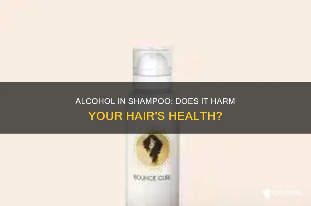 Alcohol In Shampoo: Does It Harm Your Hair's Health? | CyAlcohol