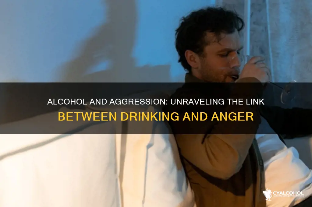 Alcohol And Aggression: Unraveling The Link Between Drinking And Anger ...