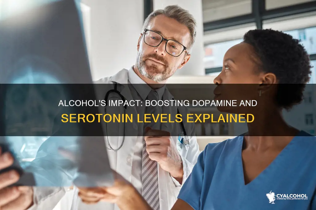 Alcohol's Impact: Boosting Dopamine And Serotonin Levels Explained ...