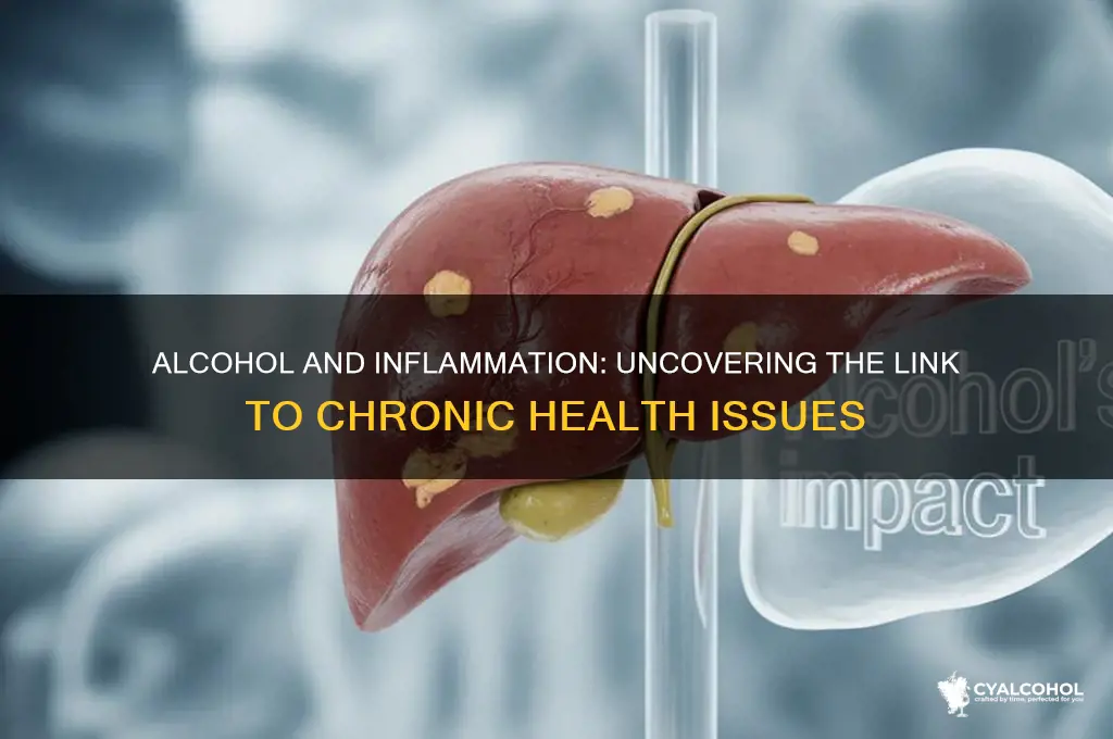 Alcohol And Inflammation: Uncovering The Link To Chronic Health Issues ...