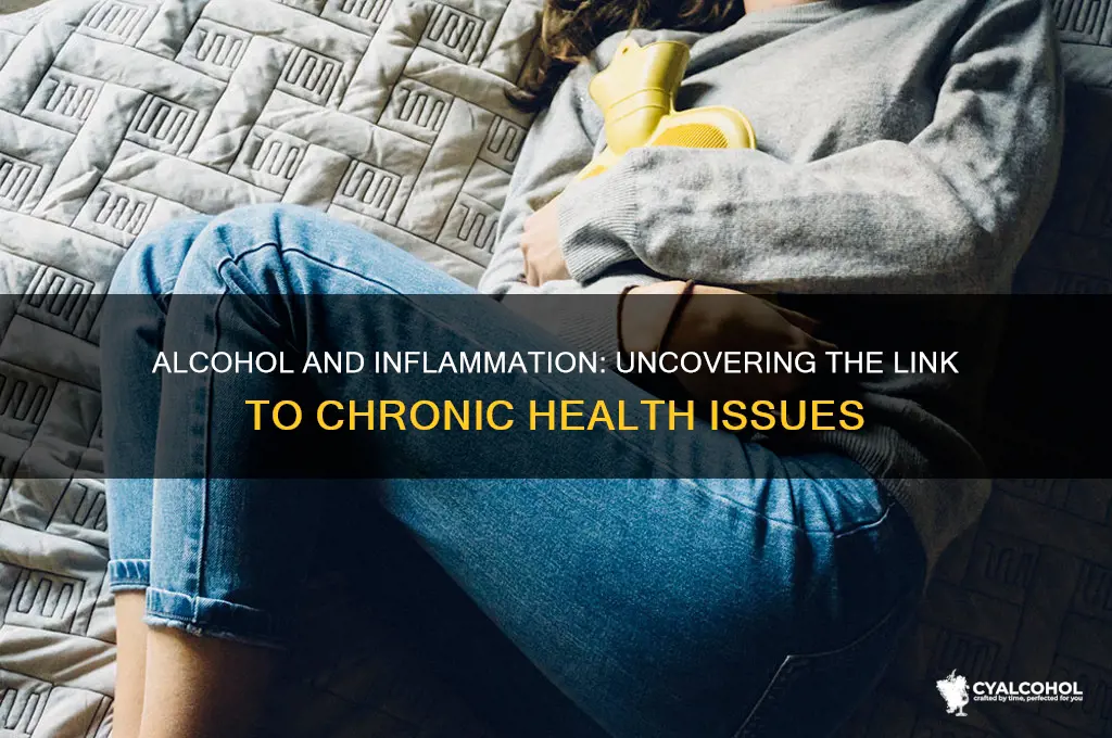 Alcohol And Inflammation: Uncovering The Link To Chronic Health Issues ...