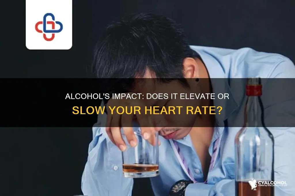 Alcohol's Impact: Does It Elevate Or Slow Your Heart Rate? | CyAlcohol