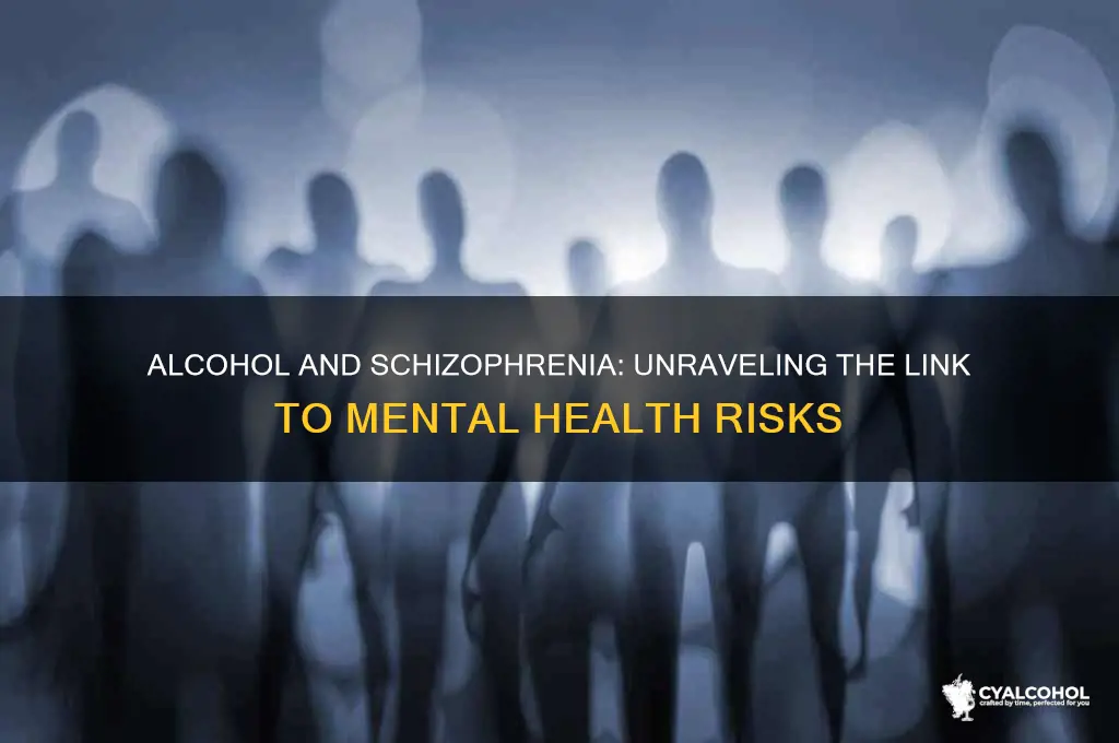 Alcohol And Schizophrenia: Unraveling The Link To Mental Health Risks ...